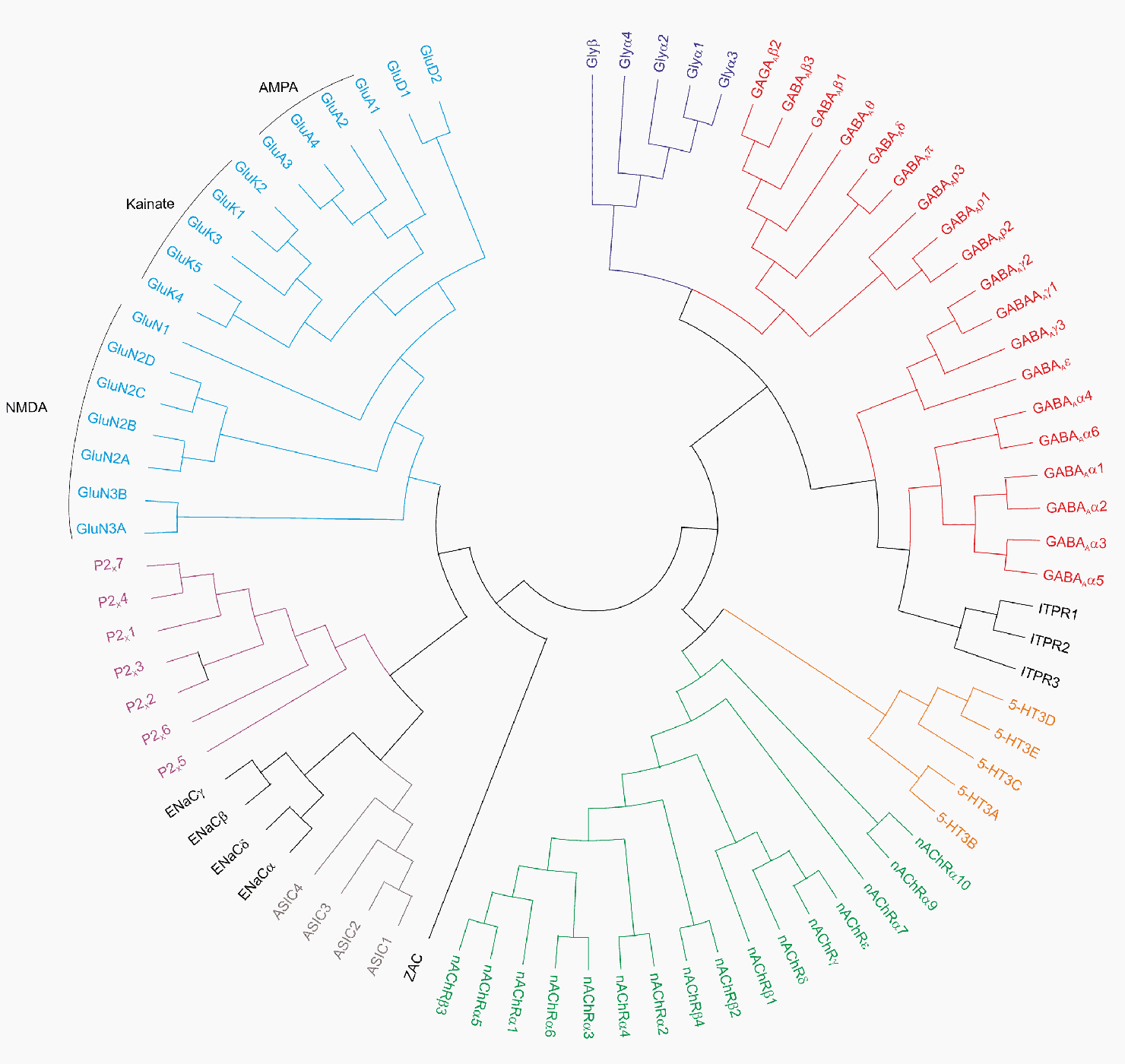 What are ion channels?