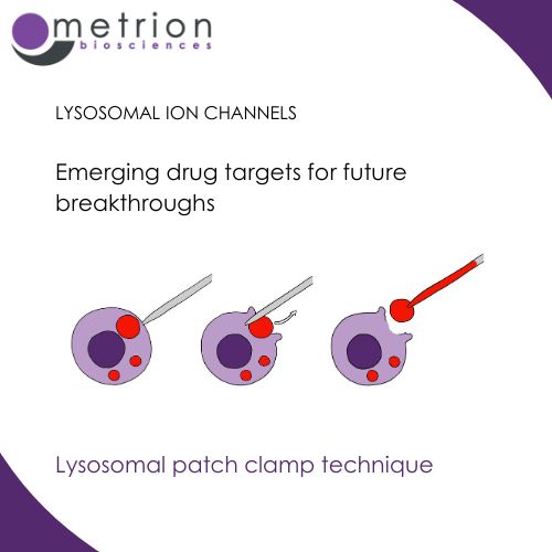 Lysosomal ion channels