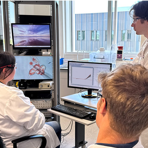 Review: Academic Ion Channels Drug Discovery Workshop 2025